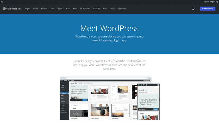 WordPress vs Webnode: Comparación de plataformas - Shopihunter